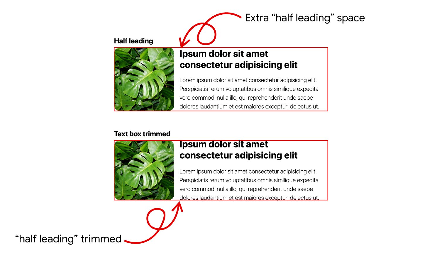 CSS text-box-trim | Blog | Chrome for Developers